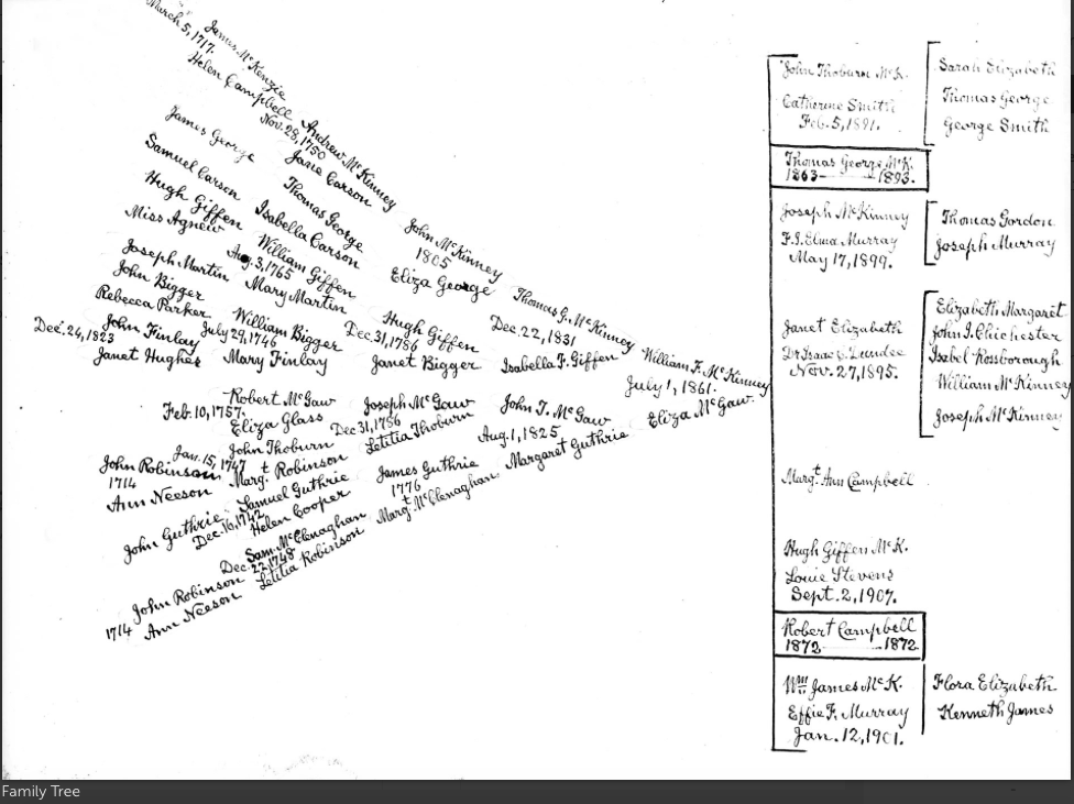 genealogies and mappings | the empire of the senses